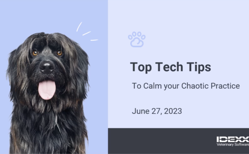 Webinars | IDEXX Software